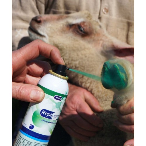 Intracare Repiderma Spray
